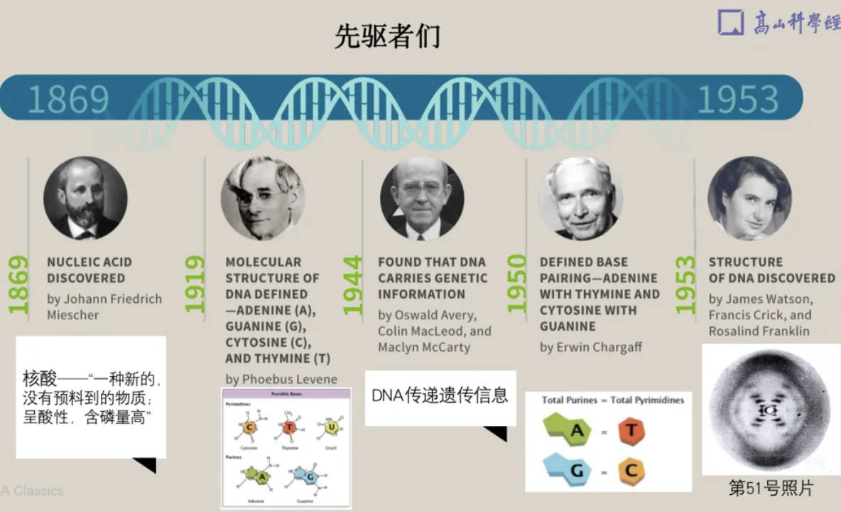 鲁白：原创科学研究靠的是什么？
